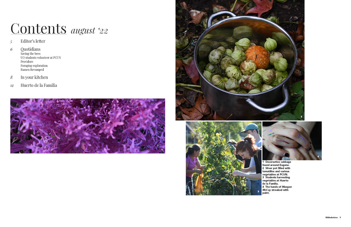 Design – Drea Secchi