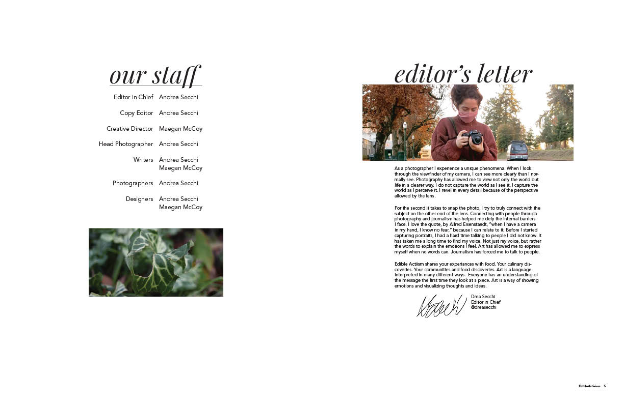 Design – Drea Secchi