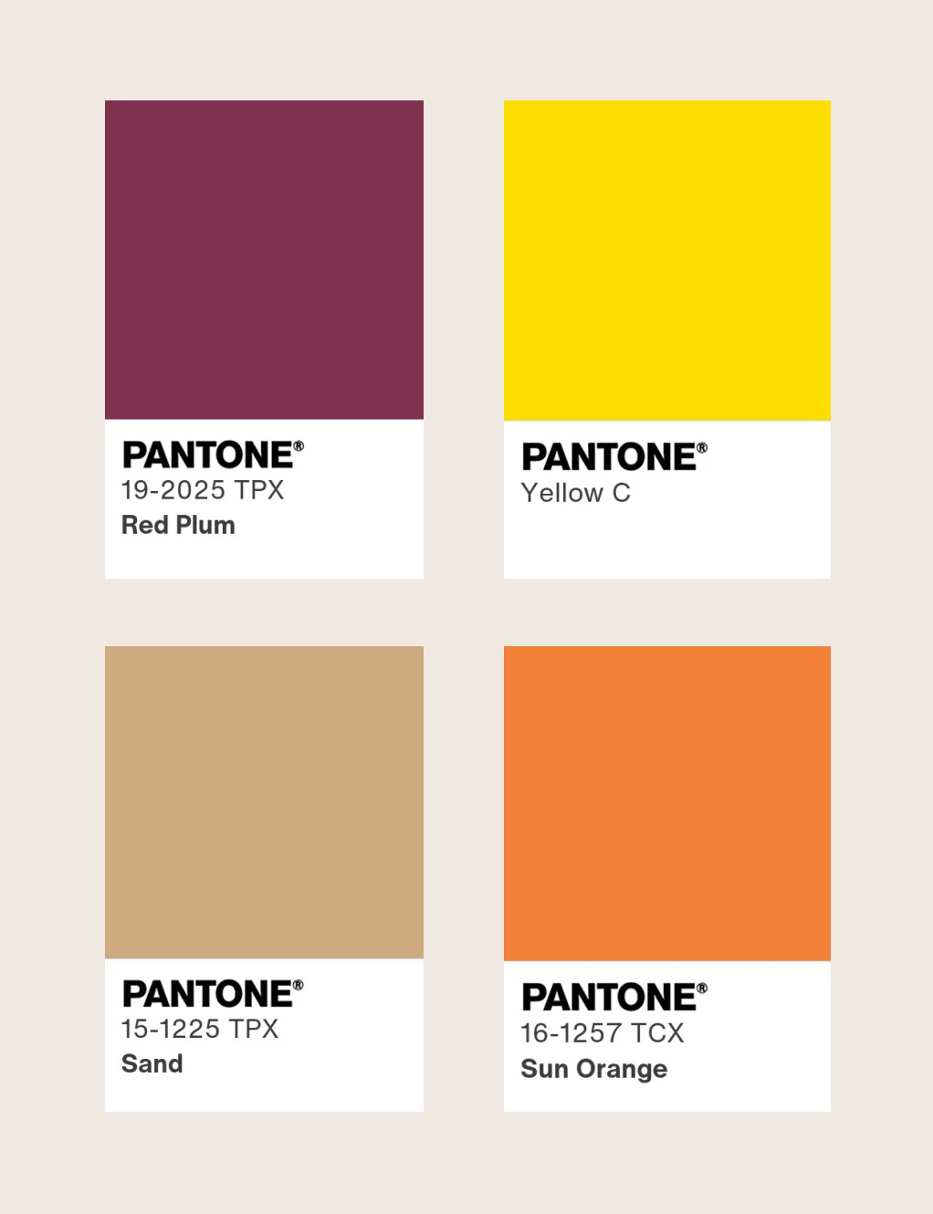 Brand related – Drea Secchi